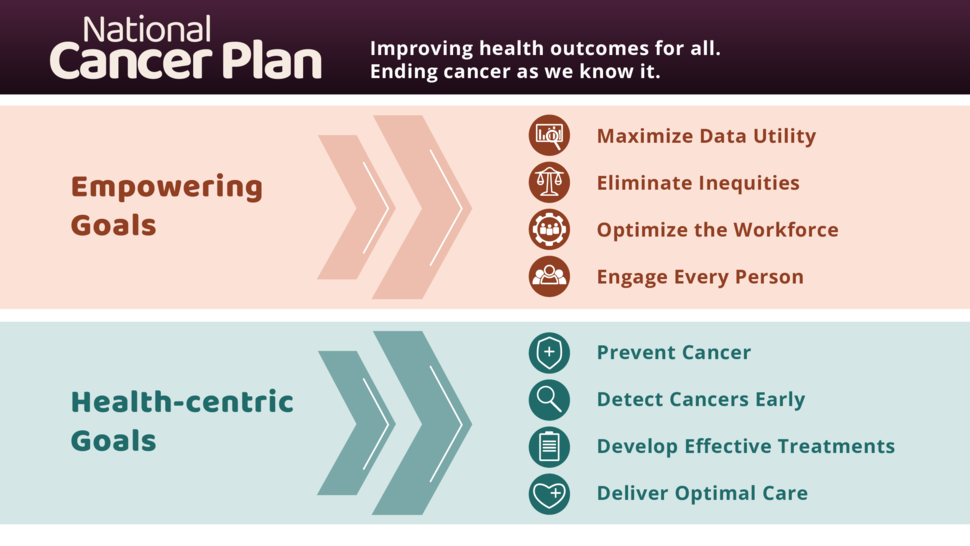 About the National Cancer Plan