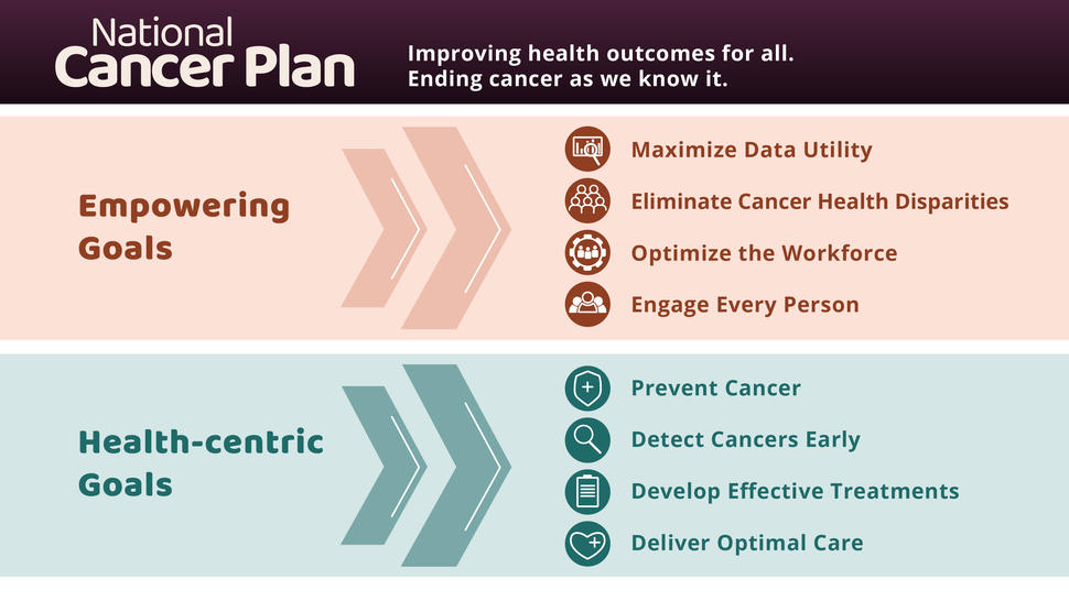 About the National Cancer Plan